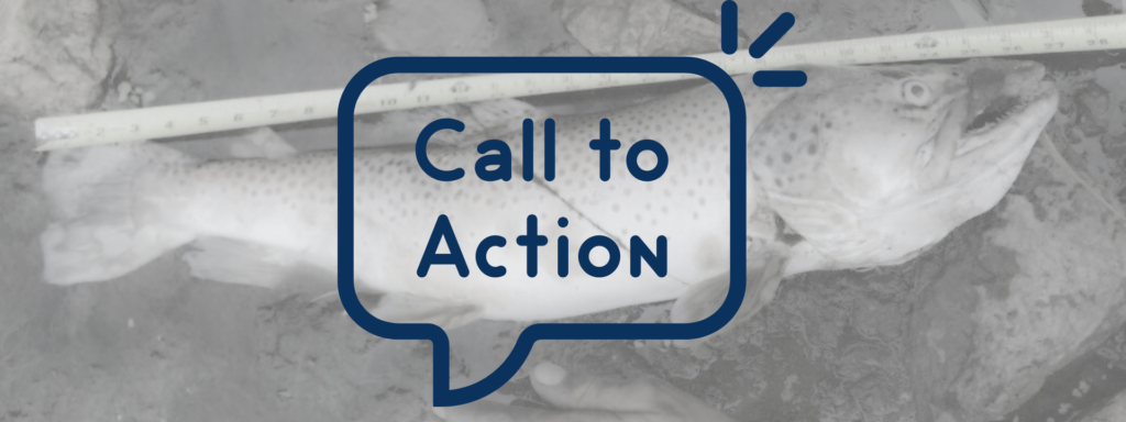 How agencies can improve their response to fish kills | MNTU
