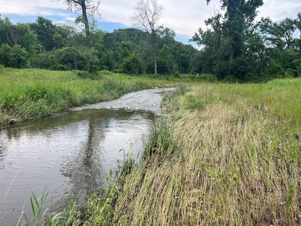 How MNTU’s habitat program strengthens trout streams climate resiliency ...