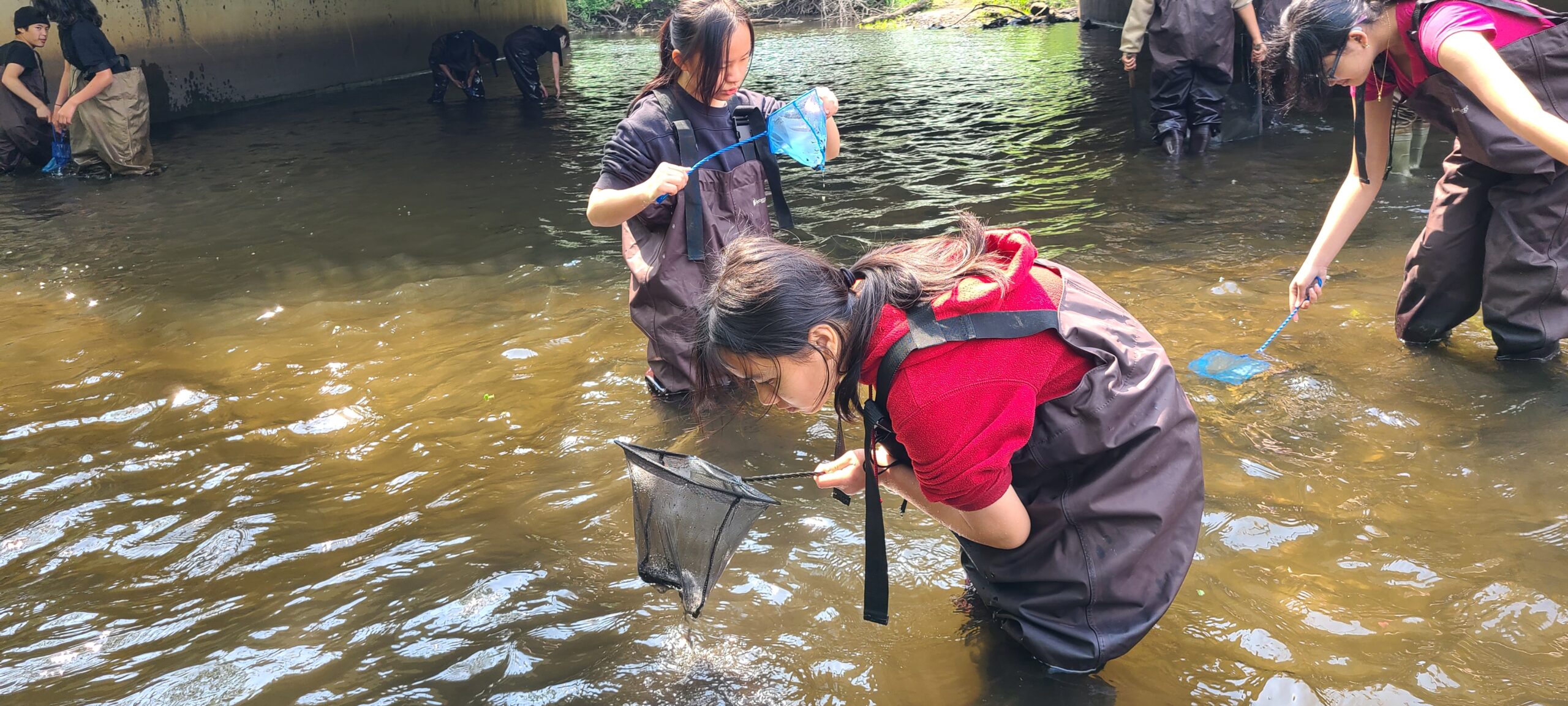 Minnesota Trout in the Classroom Educator Information for the 2024-25 ...