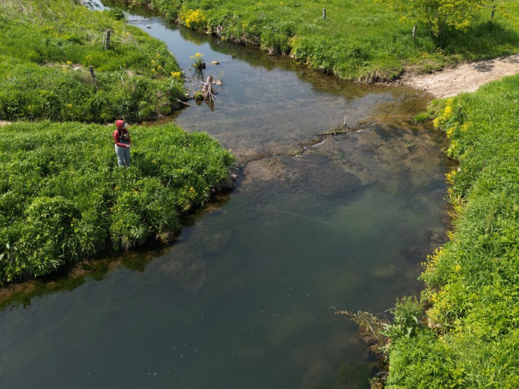 The importance of pools as trout habitat in stream restoration | MNTU