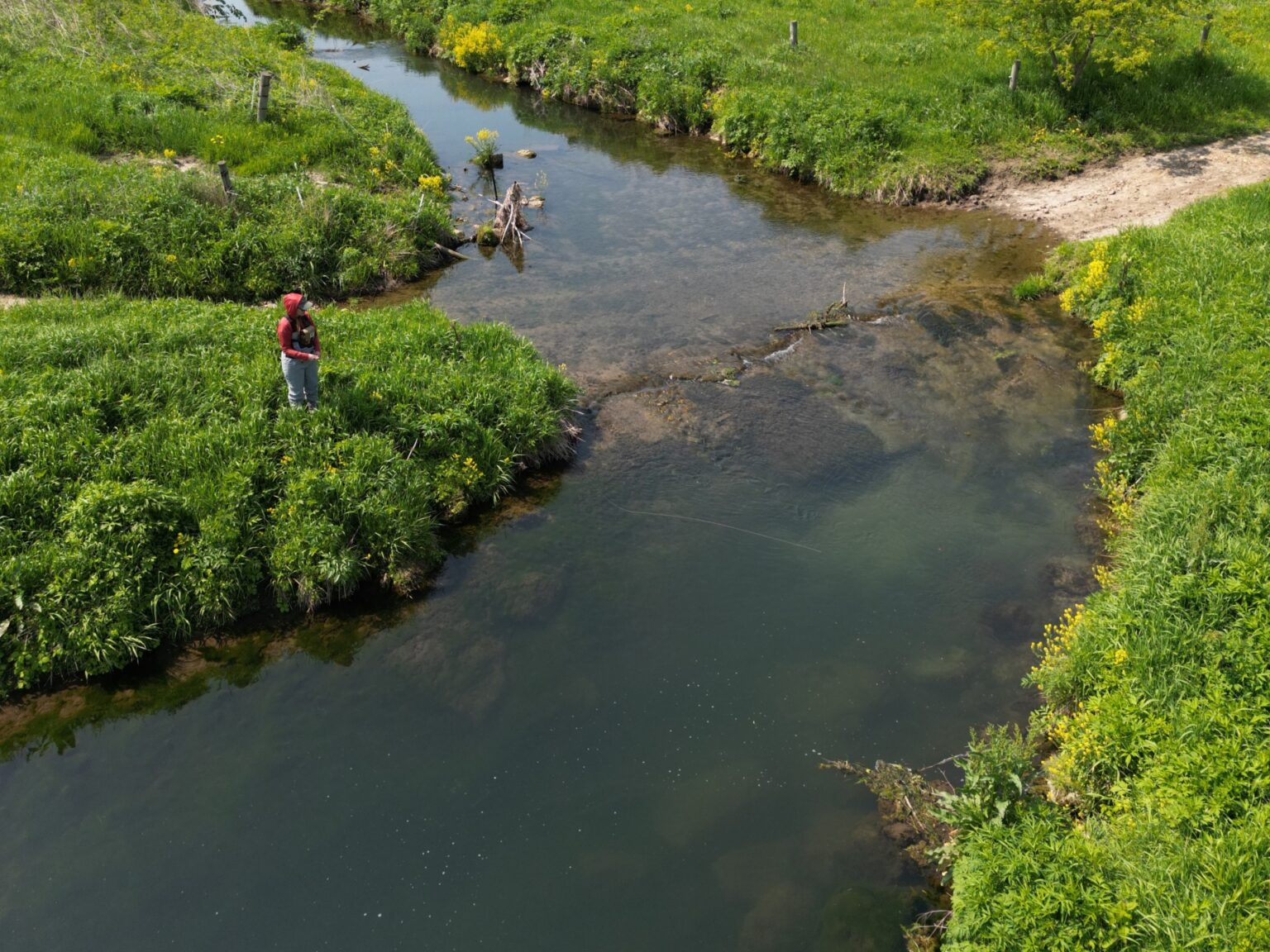 The importance of pools as trout habitat in stream restoration | MNTU